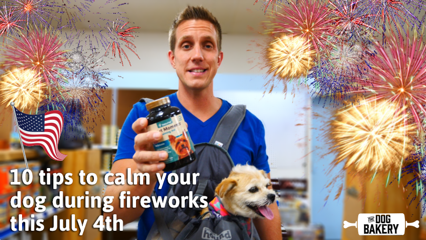 10 tips to calm your dog during fireworks this July 4th – The Dog Bakery