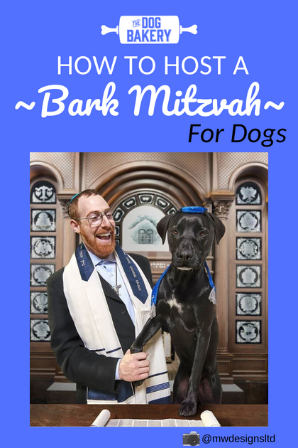 How To Throw Your Dog a Bark Mitzvah – The Dog Bakery