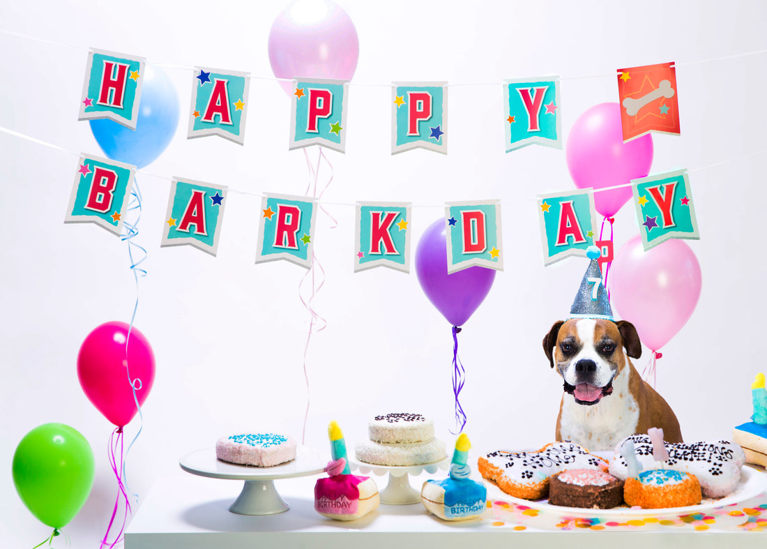 Dog Birthday Cake | Dog Cake | Puppy Birthday Cake – The Dog Bakery