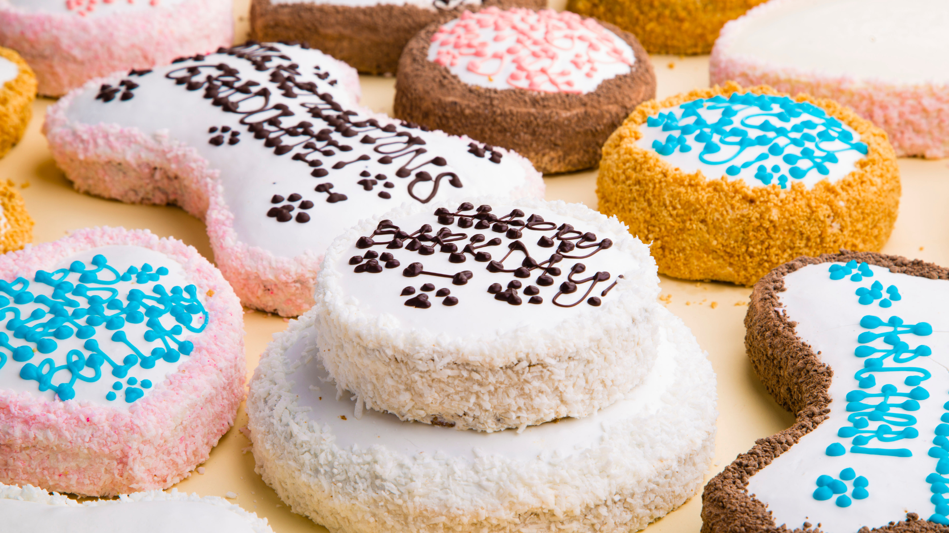 Dog Birthday Cake | Dog Cake | Puppy Birthday Cake – The Dog Bakery