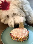 Dog Birthday Treats, Dog Birthday Cookie, Pupcake - Dog Bakery – The ...