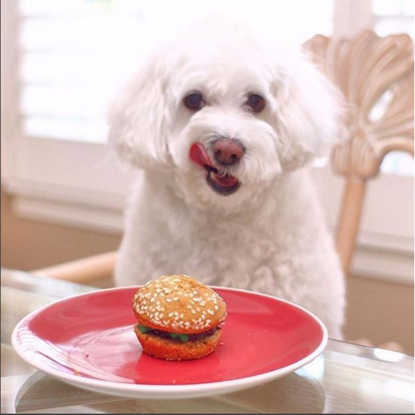 Animal Slider | Doggie Cheese Burger – The Dog Bakery