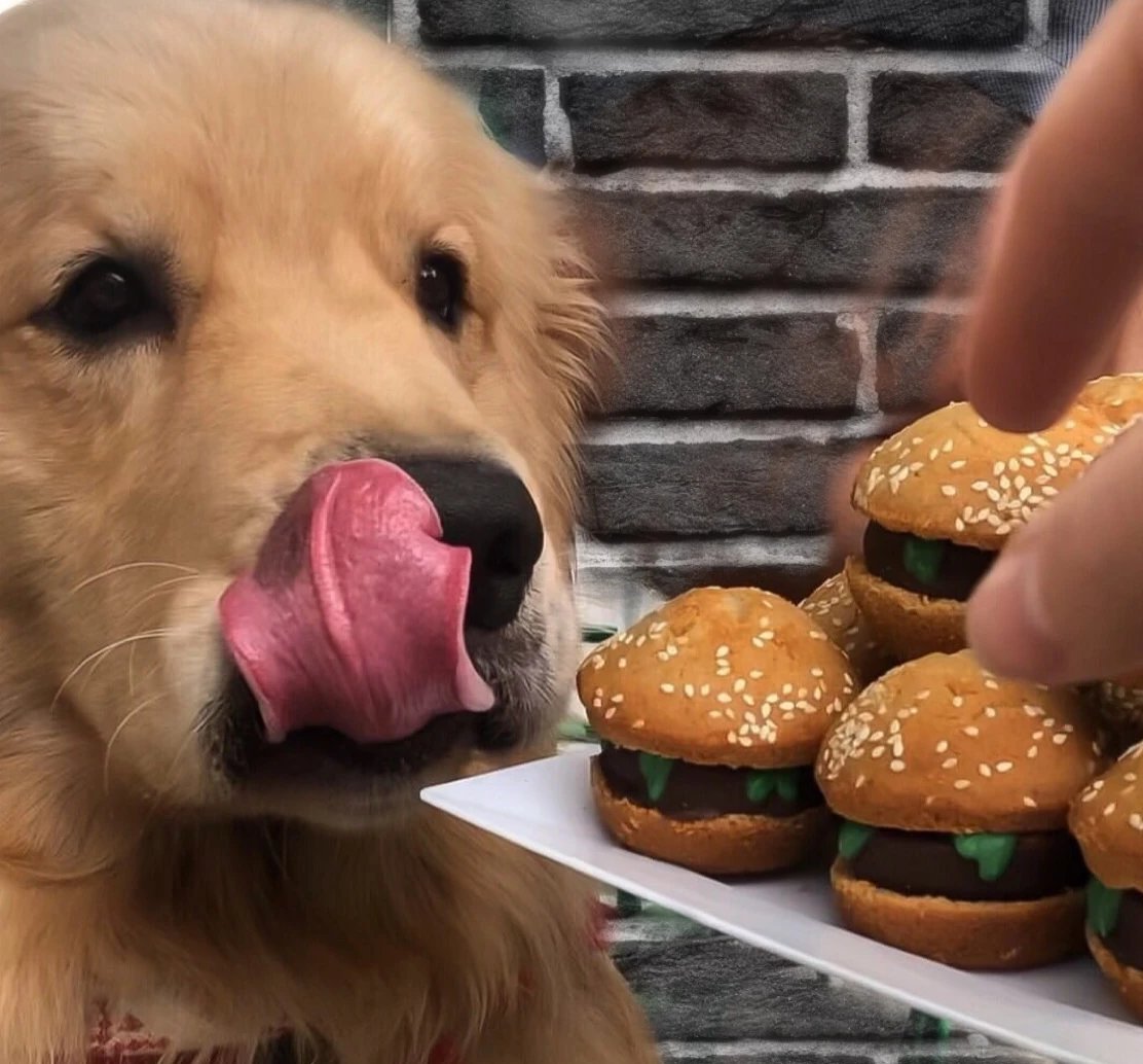 Animal Slider | Doggie Cheese Burger – The Dog Bakery